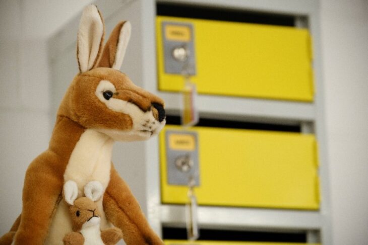 Simplify Your Relocation Journey with Kangaroo Self Storage | Kangaroo ...